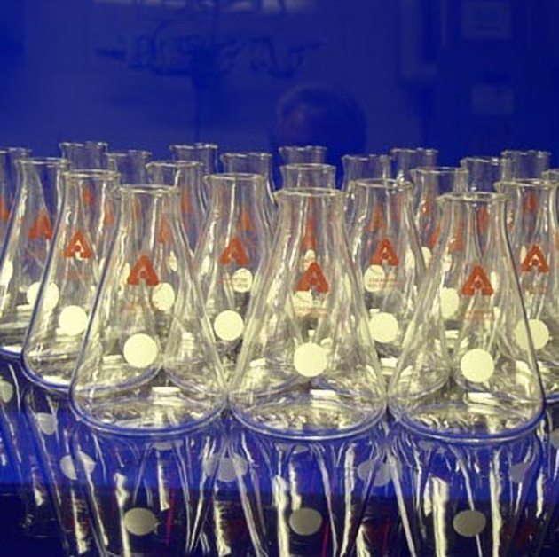 erlenmeyer flask deformity (mnemonic) | pacs